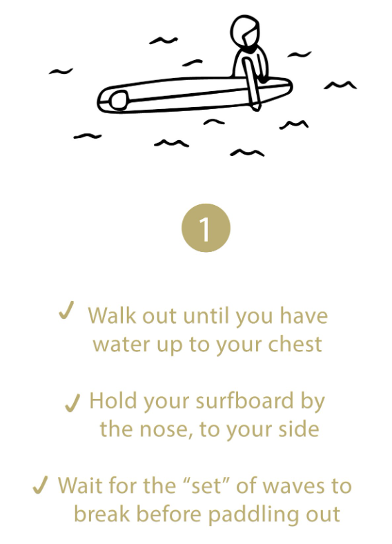 Turtle Roll & Duck Dive – The Daily Hailey